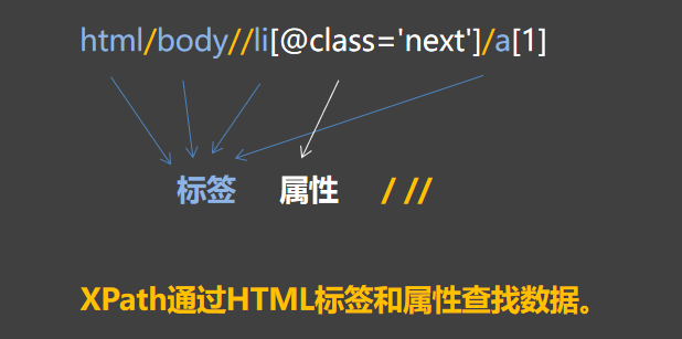 XPath系统学习与实例