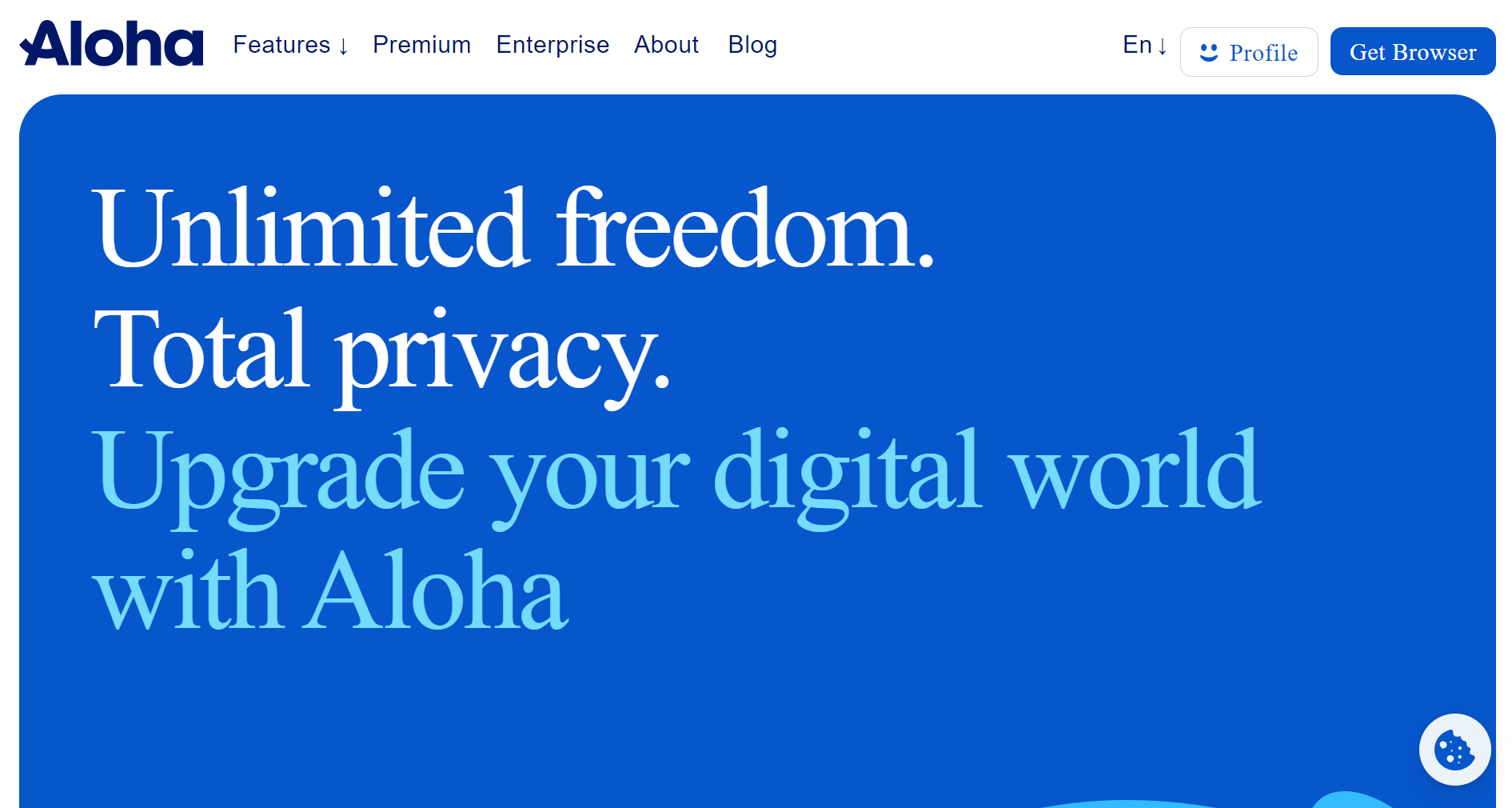 10 Best Unblocked Browsers for Ultimate Browsing Freedom (2024)