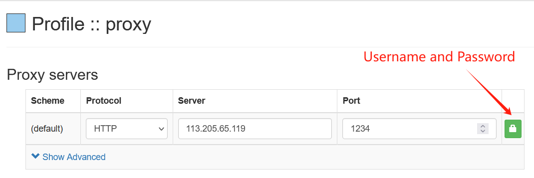 How to Set Up HTTP/SOCKS5 Proxy On Switchy Omega