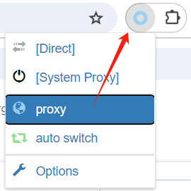 How to Set Up HTTP/SOCKS5 Proxy On Switchy Omega