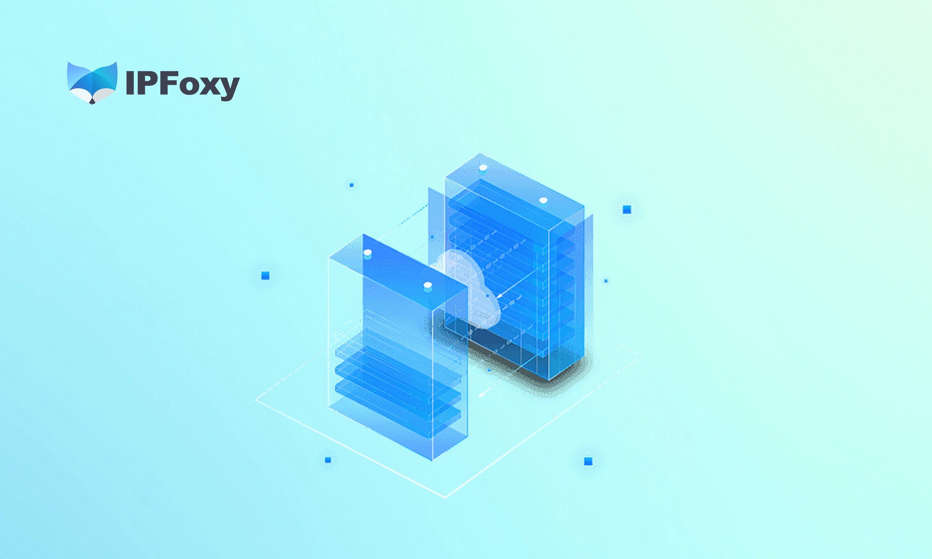 Dedicated vs. Rotating Proxy IPs: Contrasting the Differences and How ...