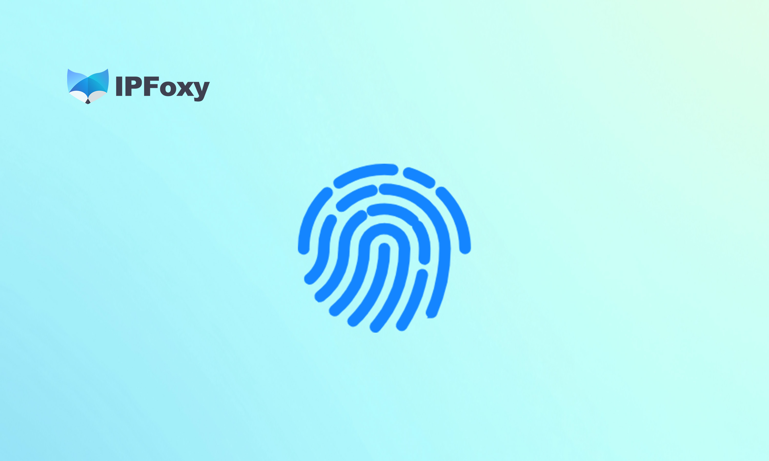 Ten Questions about the Digital Fingerprint: Everything You Need to Know-IPFoxy