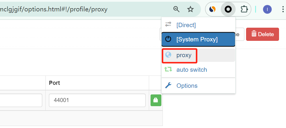 SwithyOmega Proxy Settings | How To Set Up Proxies with SwithyOmega？