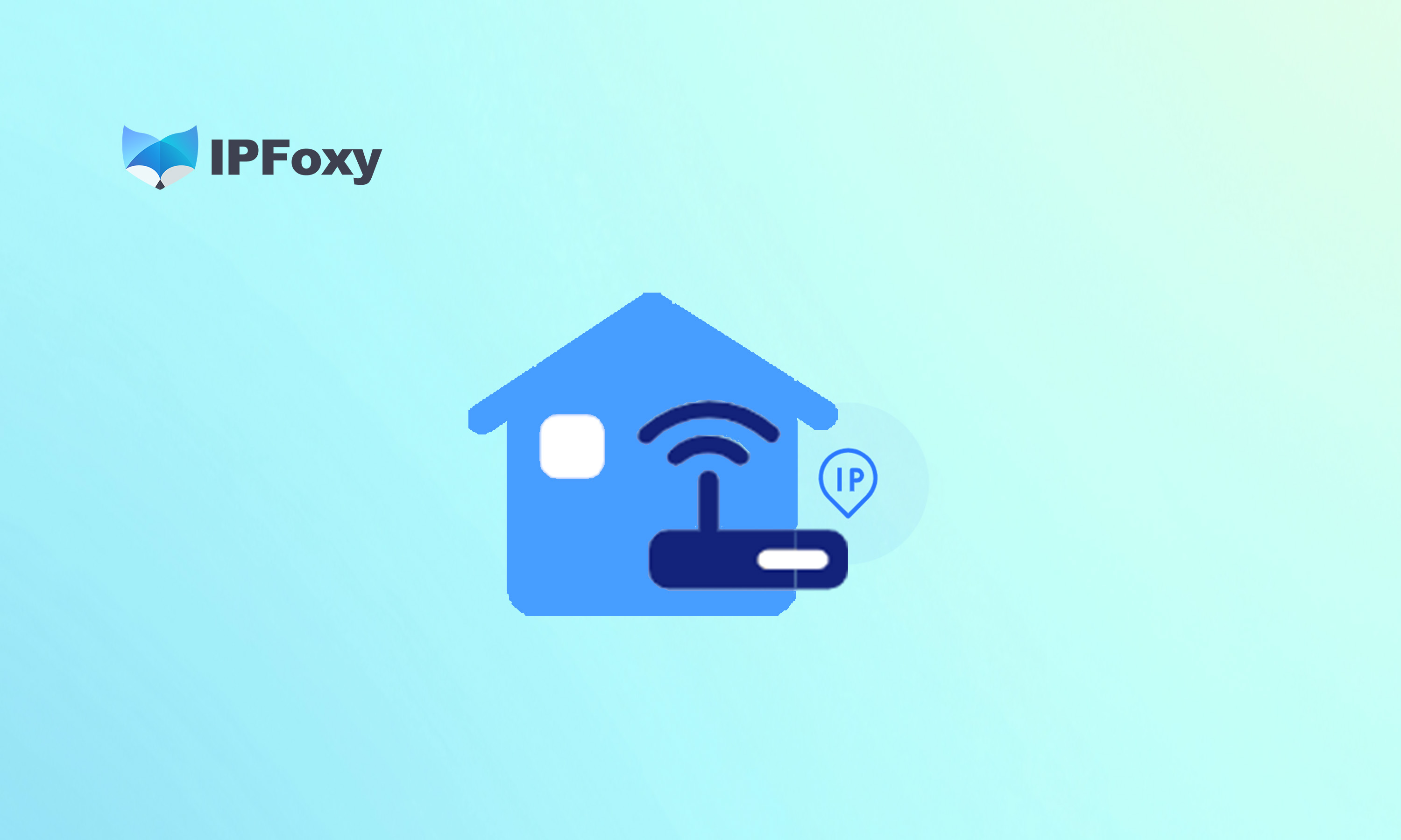 Dynamic vs. Static Residential IP: Choosing the Right Option for Your ...