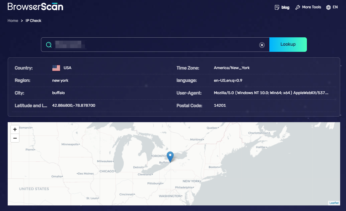 BrowserScan IP查询 - VPN与代理使用者的必备工具